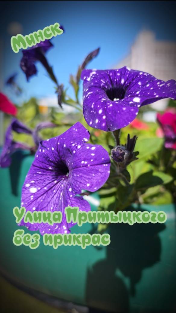 Минск. Улица Притыцкого без прикрас