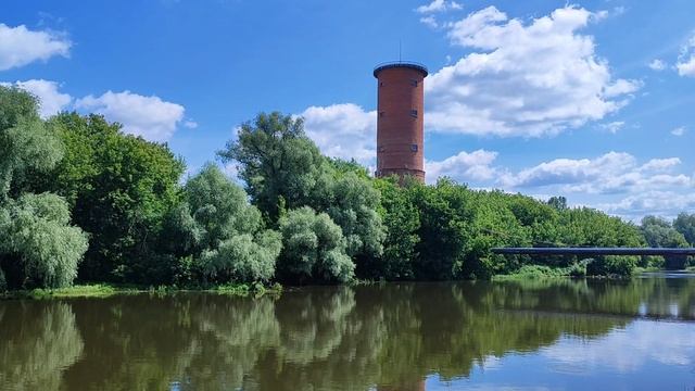 Солнечный денёк в парке. Июль 2025