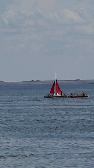 Алые паруса. озеро Яровое