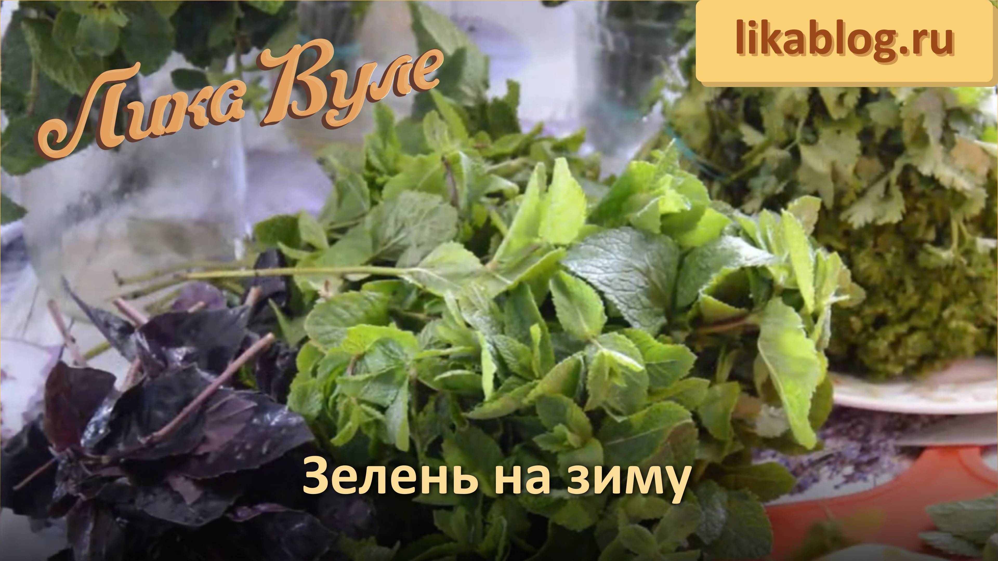 Как заморозить зелень на зиму — проверенный способ, чтобы она не превратилась в лёд 🌿