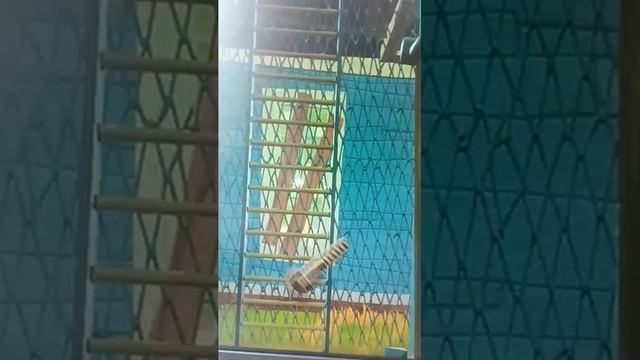 unexpected ending 75