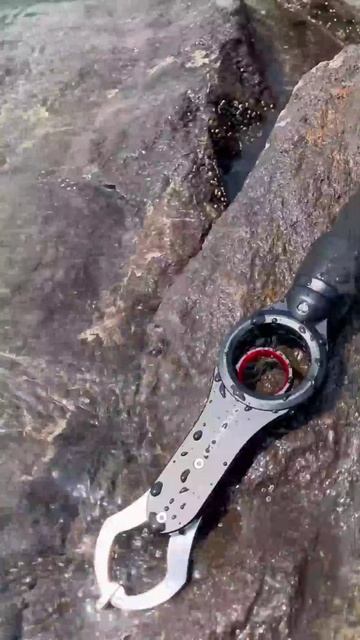 Рыболовный захват Gomexus