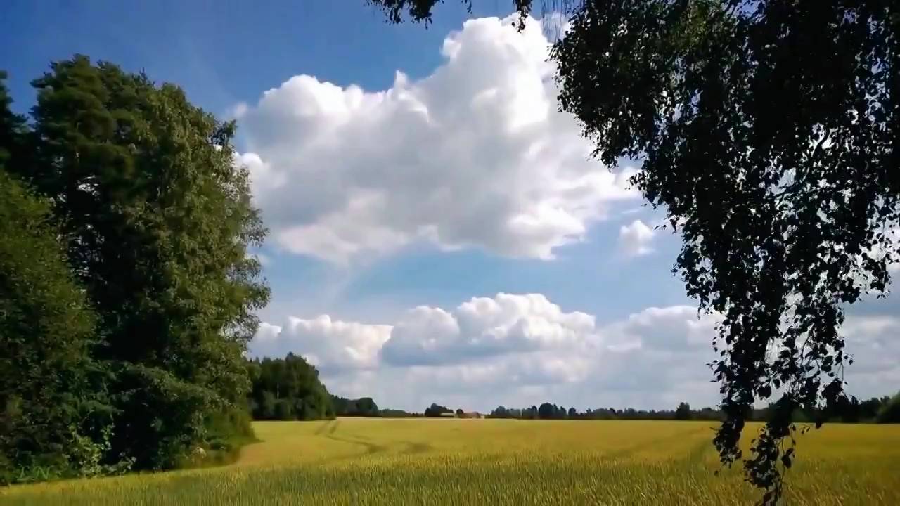 Лето... summer- Paul Mauriat, Franck Pourcel, Francis Lai & Raymond Lefévre