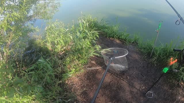 Лучшая рыбалка на КАРПА 2025 г. УНИВЕРСАЛЬНОЙ удочкой! 3 часть.  02.07.2025 г.