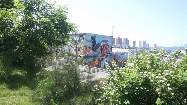 Сопка Бурачека 1.