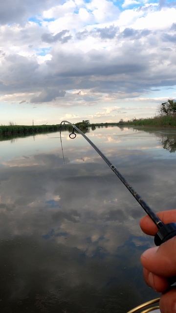 Карась на мормышинг 👍👍👍