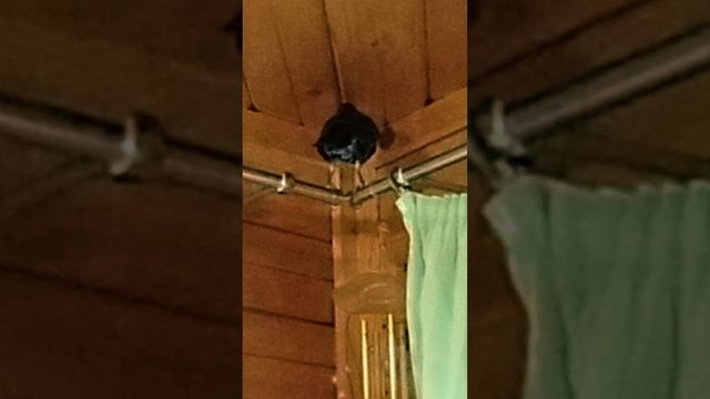 Крошечка.Про тех кто живёт рядом..