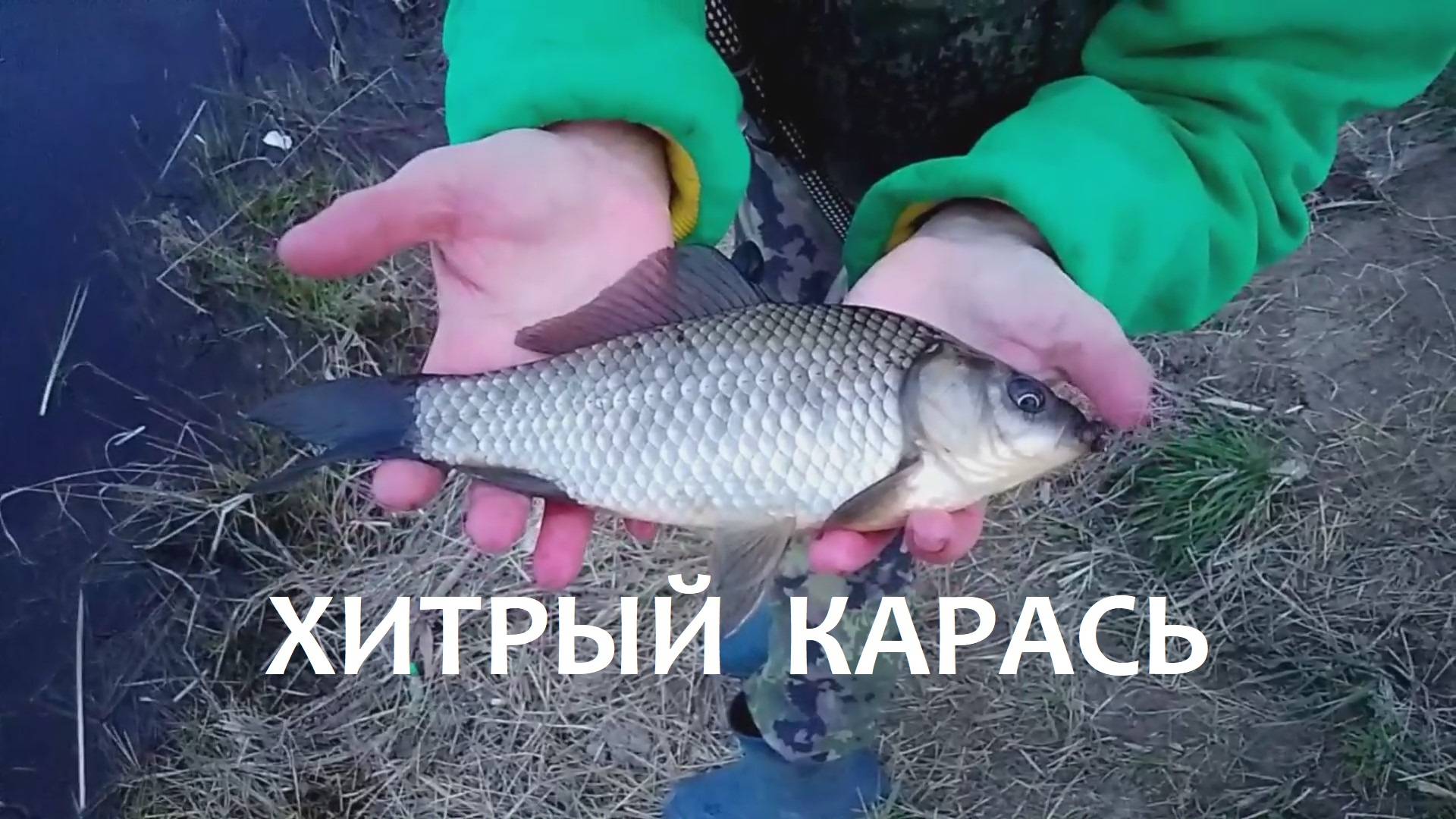 Рыбалка - хитрый Карась на поплавочку