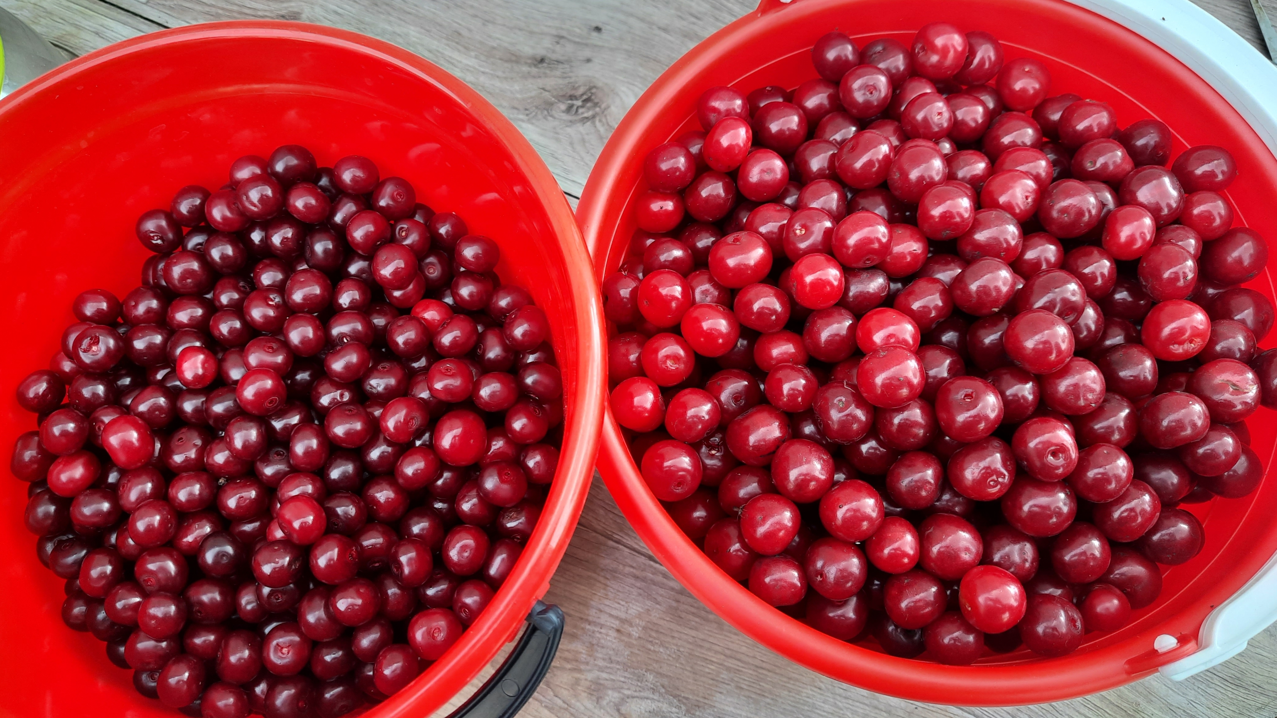 Шопинг без меня🚙Ягодный день🍒Заготовки впрок и "Чижик"🛒