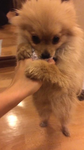 Басенька с детства не делится добычей!