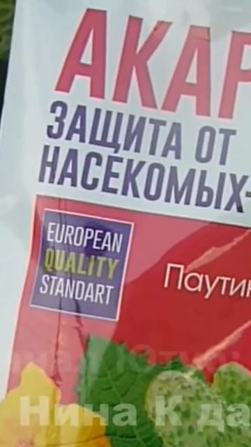 Биопрепараты от паутинного клеща