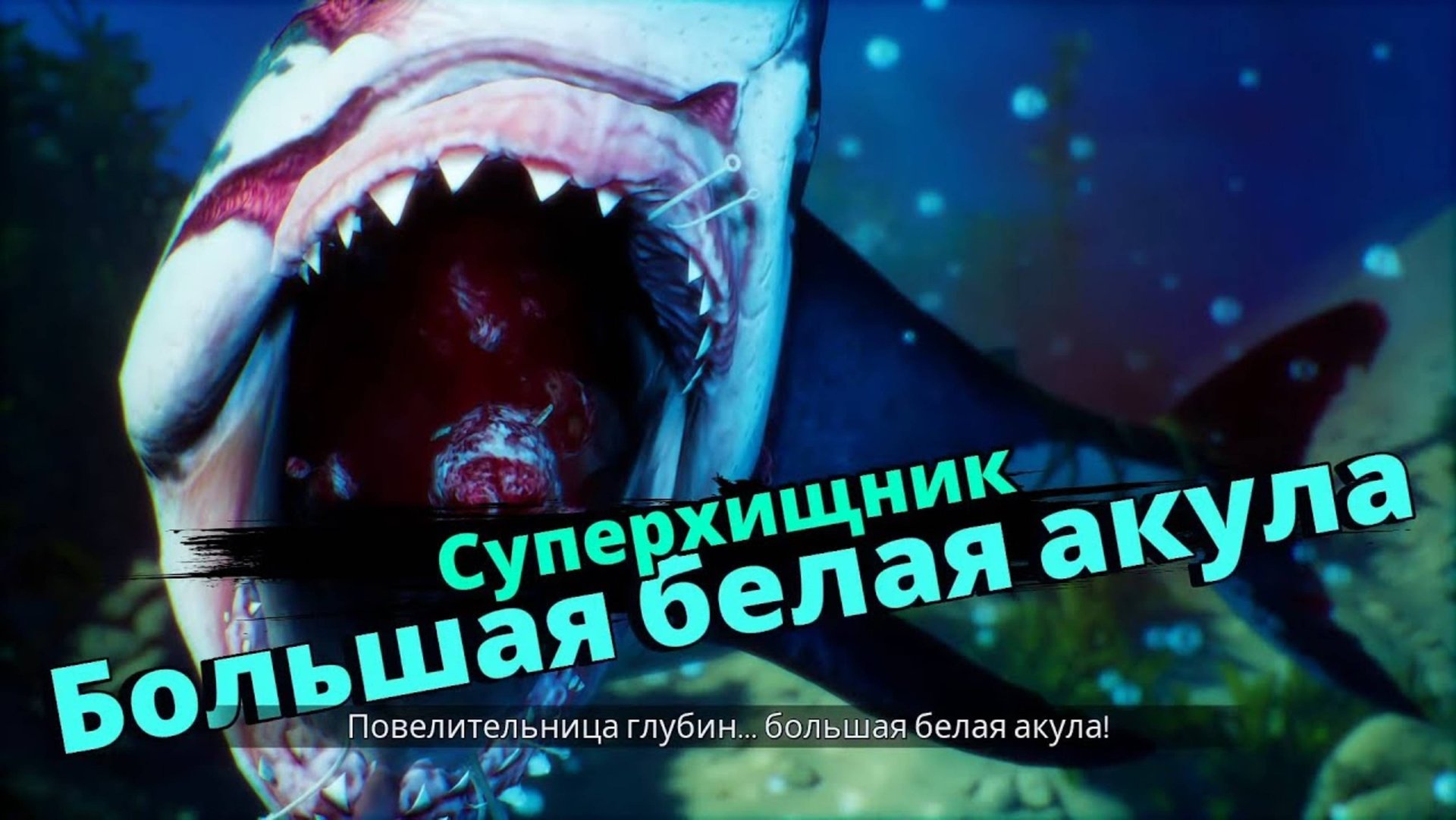 Прохождение игры Maneater #6 За улыбку плюс (без комментариев)