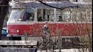 Весеннее разнообразие трамваев. Часть 1. Апрель 2025 года.