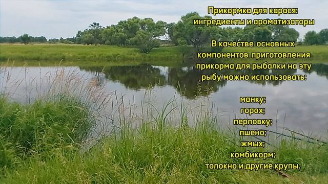 Прикормка для карася

#сезонконтентаRUTUBE