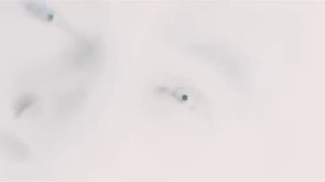 Пикник - Заратустра