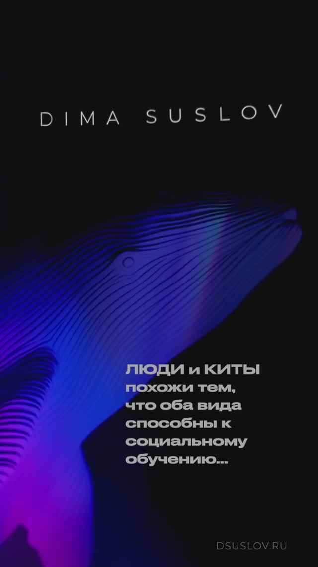 Факты о китах. Слушайте новый трек ЭЙ, КИТ! от Dima Suslov | Дима Суслов