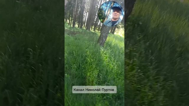 Будет вкусный полезный чай 👍😊