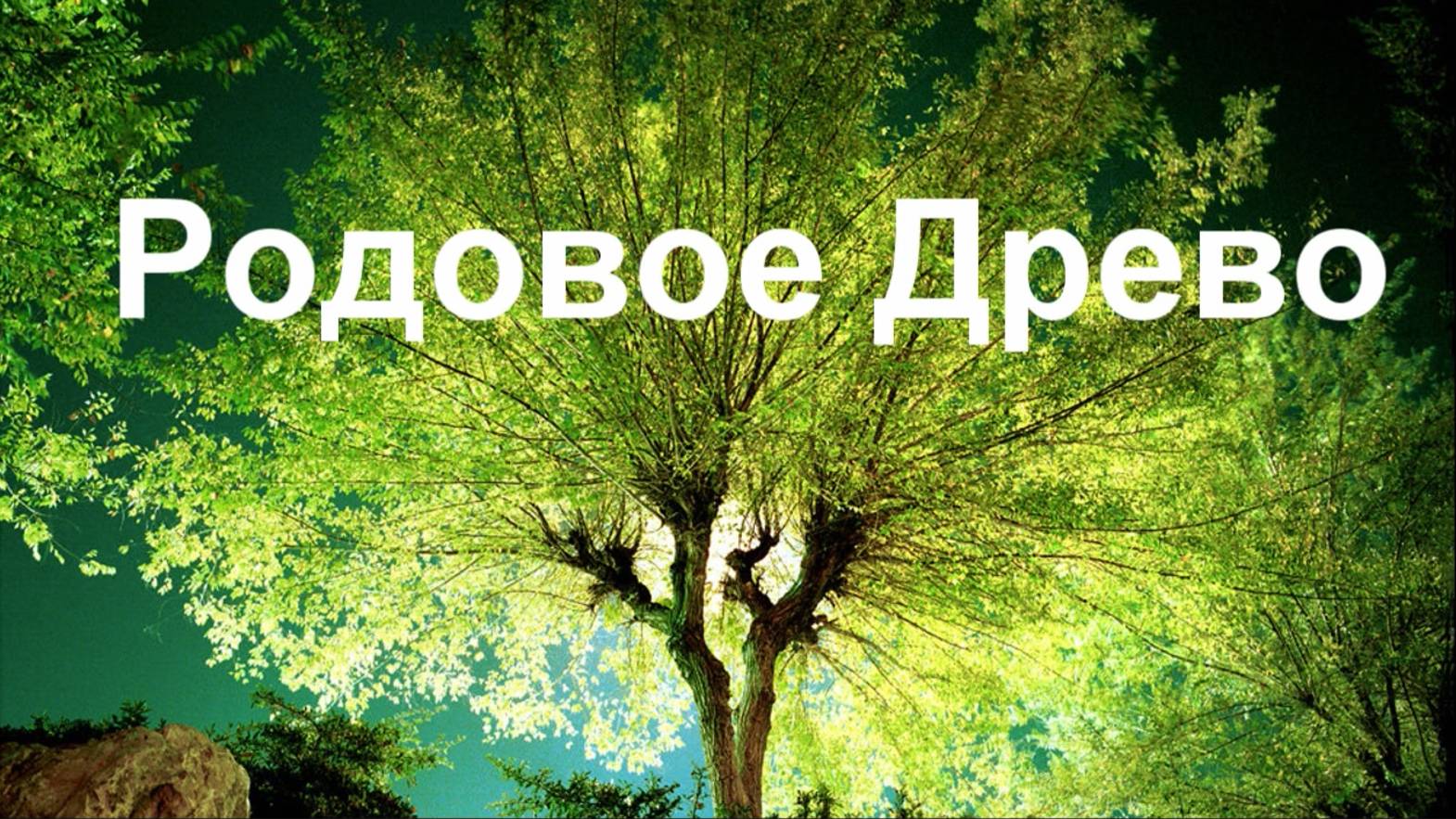 Родовое Древо