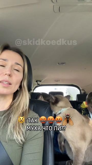 Кус. Тот самый инструктор по вождению