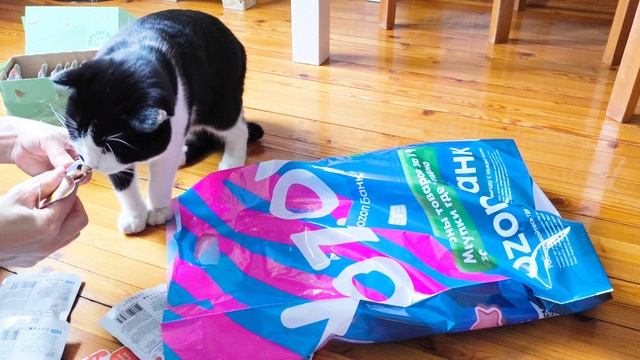 Распаковка OZON, корм для котят