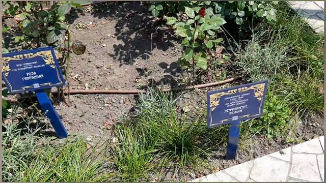 2 часть А не махнуть,мне на море ,июнь 2025mp4