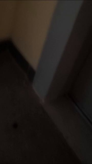 Мия и новоселье 1 часть