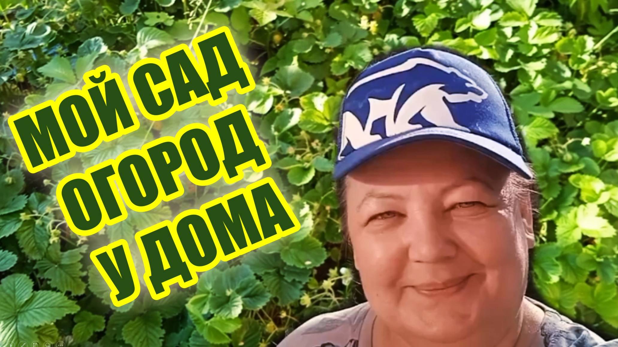 Обзор огорода и сада у дома #domovodstvoibyudzhet