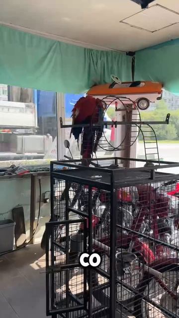 Раздолбали диск