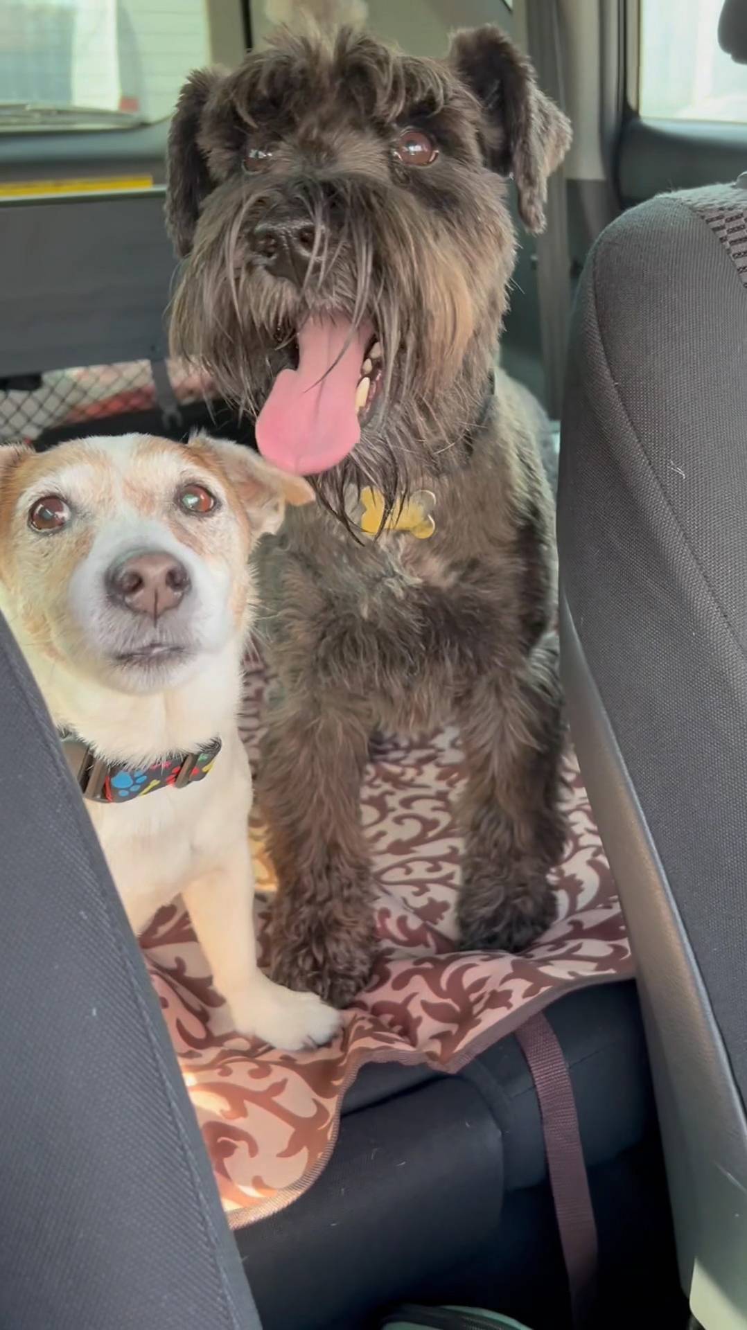 Как Джек сражался с Керхером на автомойке 😳😃