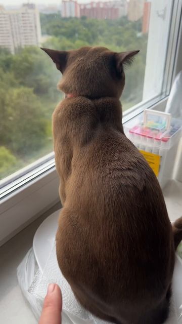 Кус. Главное блюдо