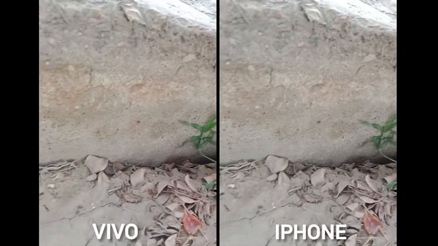 ViVO X200 Fe против iphone 15 pro max- сравнение камер в реальной жизни
