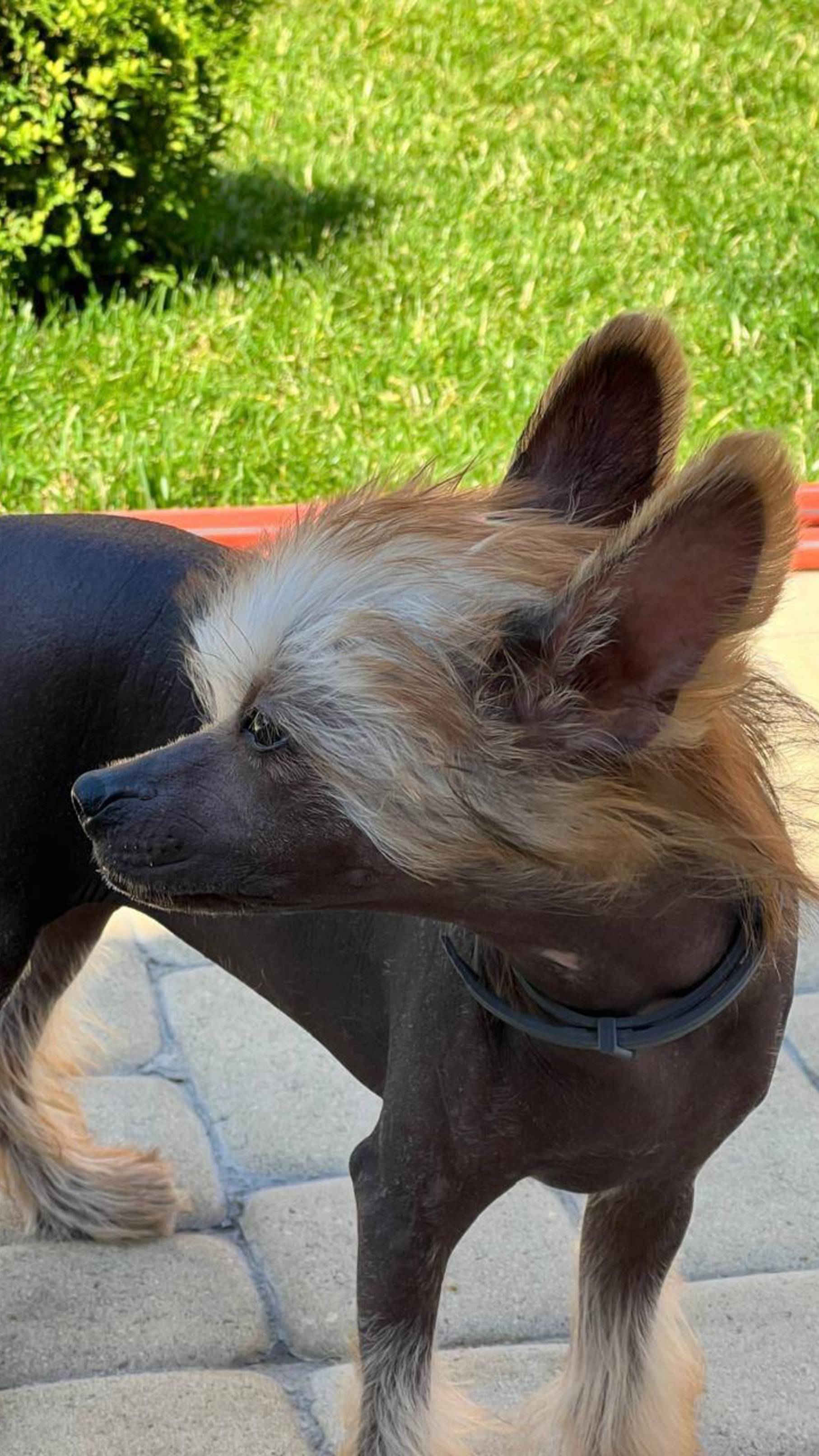 Глория и Криста утомлённые солнцем, +30