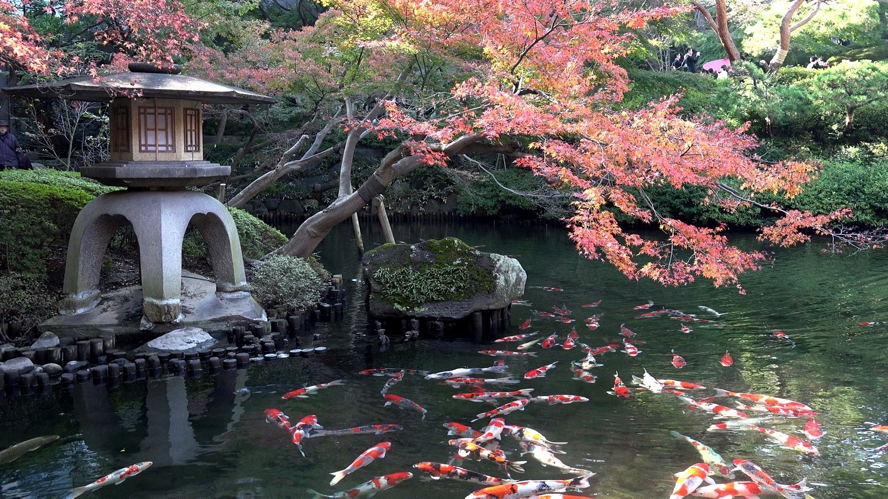 Дождь и приятная музыка естественное расслабление после тренировки в Японском саду🙏🏻🥊