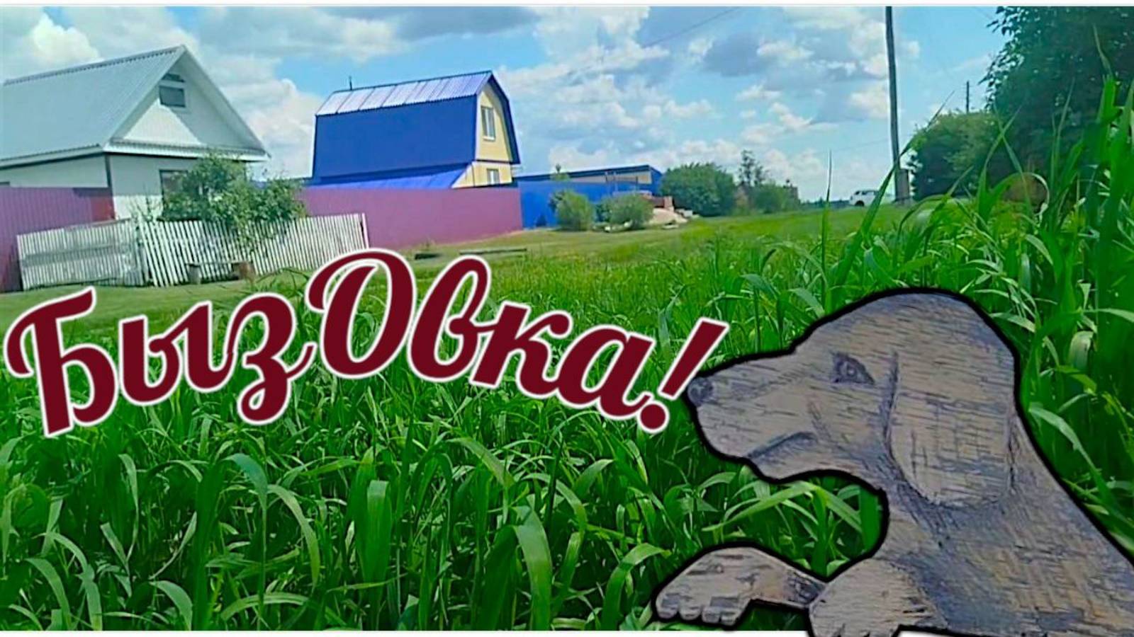 Дачная деревня БызОвка. Омская область Большереченский район.