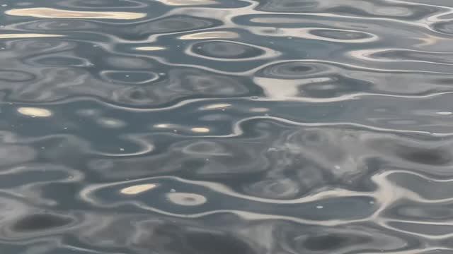 Что такое лето? Это море!