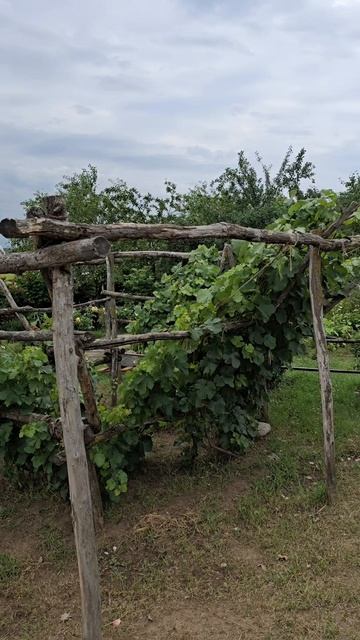 музей Тихий Дон