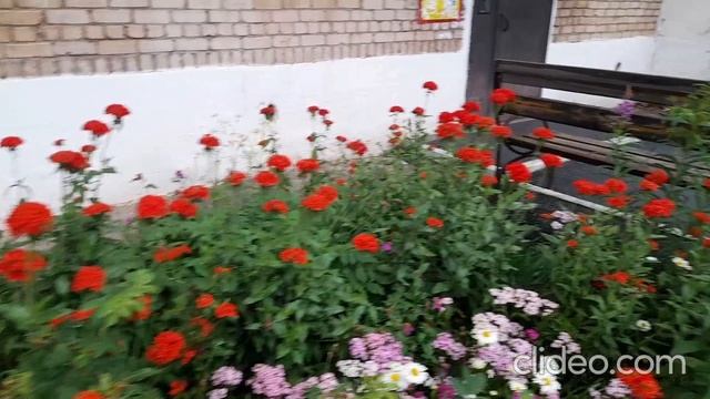 Райский уголок Октябрьская, 5 2024