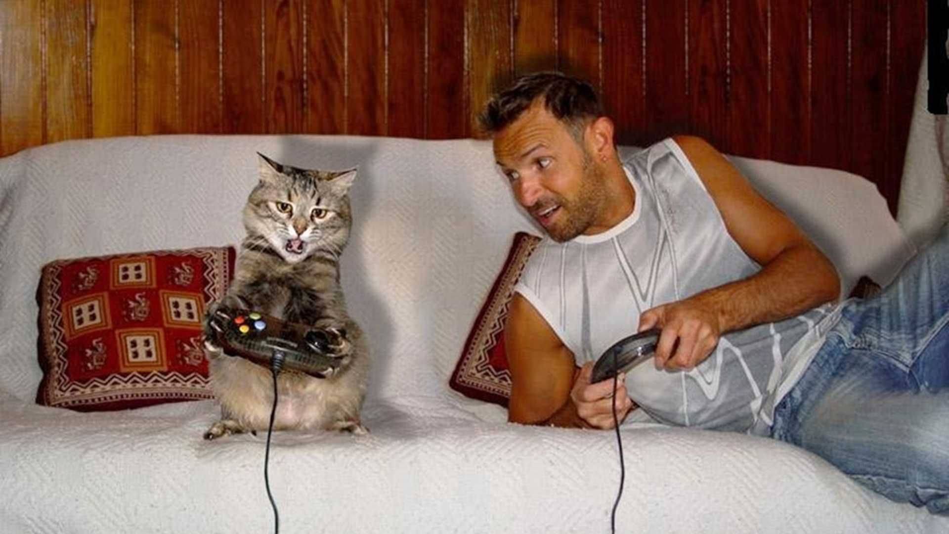 ПРИКОЛЫ С ЖИВОТНЫМИ ДО СЛЕЗ #93 Смешные КОТЫ И СОБАКИ  Приколы