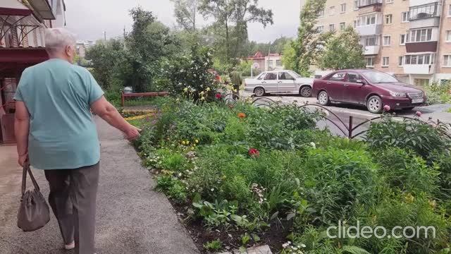 Райский уголок Пугачёва, 2 и Октябрьская, 2 2024