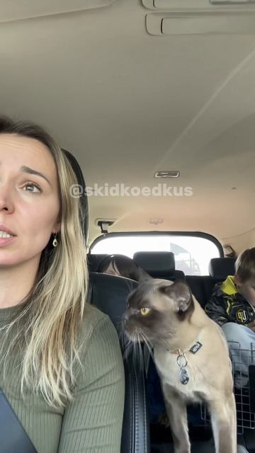 Кус. Тот самый инструктор по вождению ч1