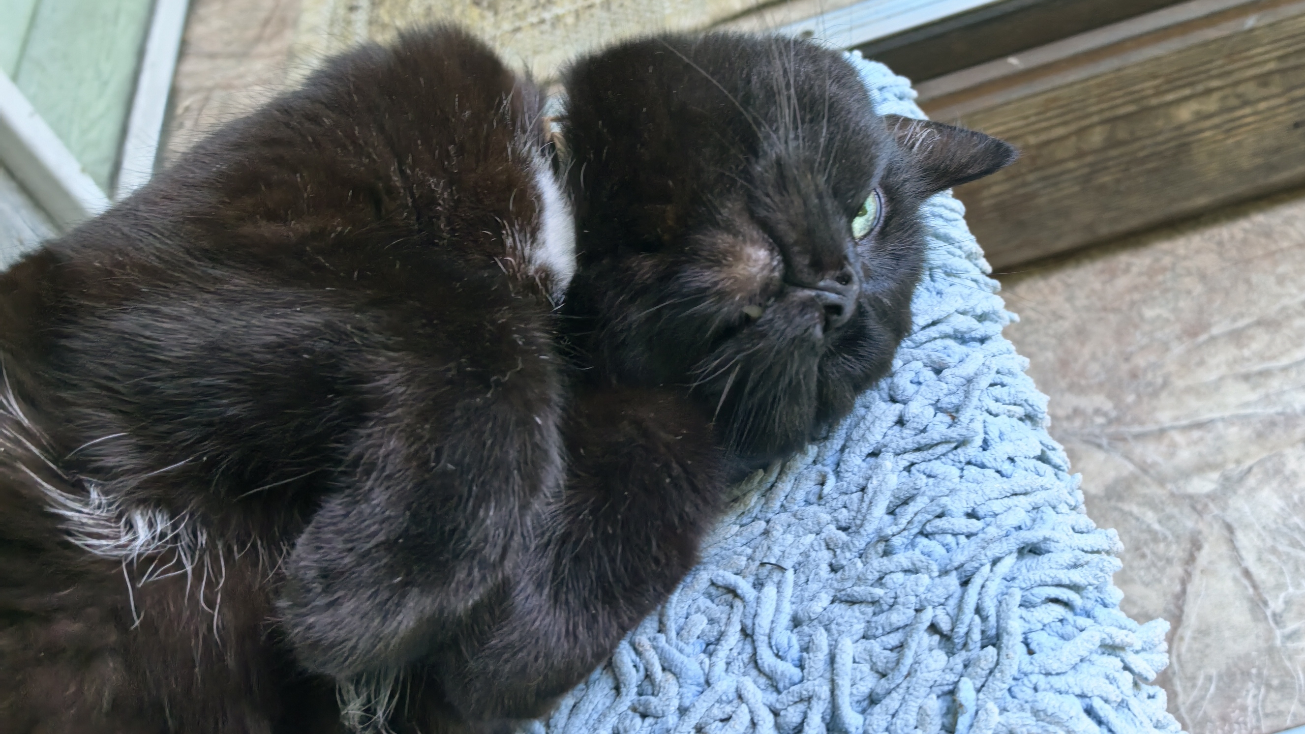 ИГРА С МАКСИКОМ