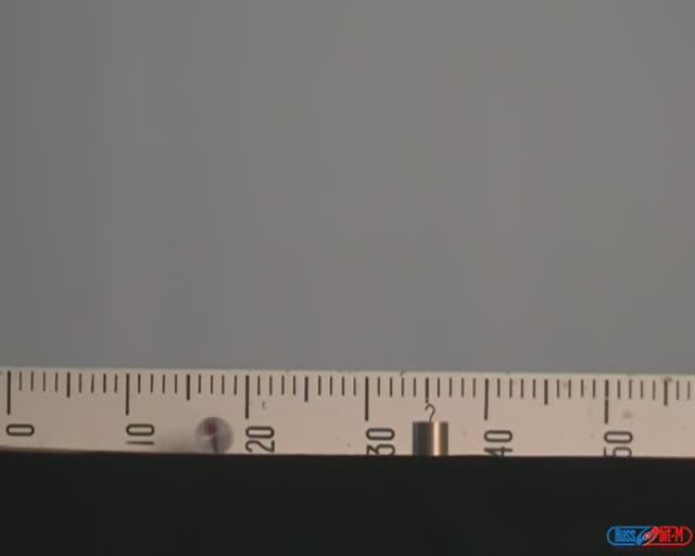 Физика. Опыты. Явление инерции