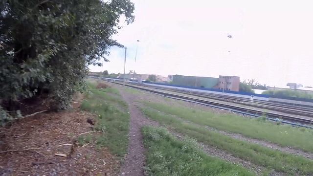 Накануне дождя.😊