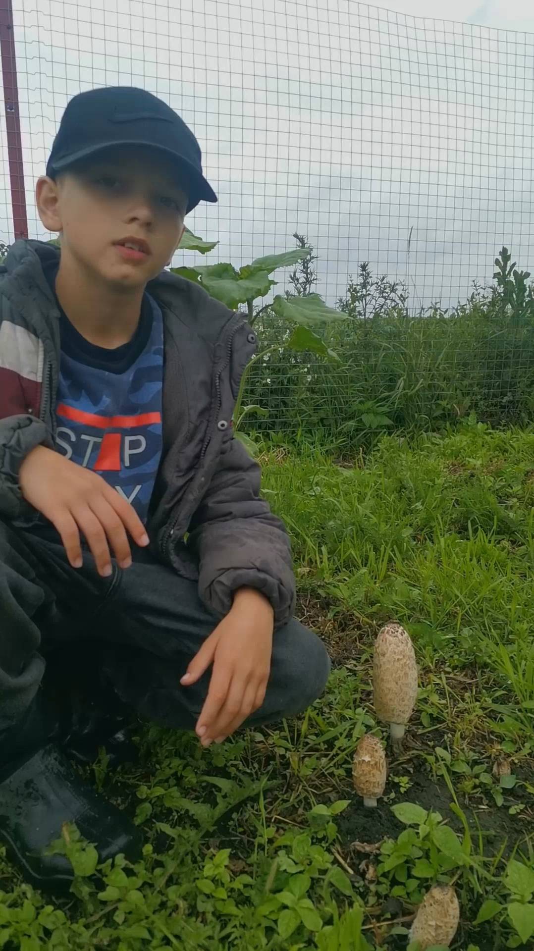 ЧТО ЗА ГРИБЫ?