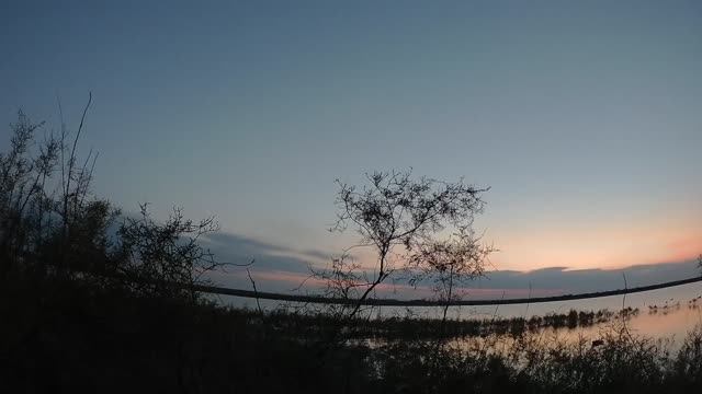 Охота на утку осень 2024. Три зорьки на маныче.