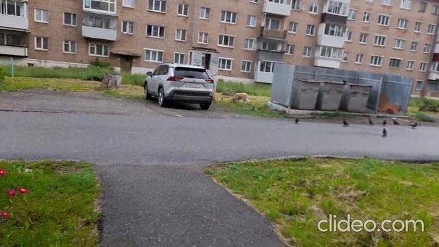 Райский уголок 2024 Пугачёва 4