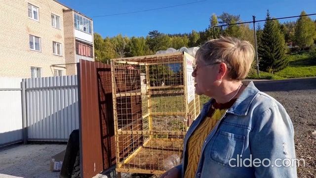 Райский уголок Первомайская 2 А сентябрь 2024