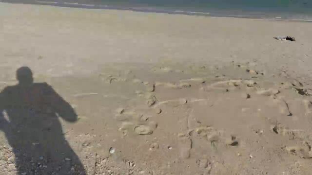 Обзор пляжа отеля Ramada Beach Hotel Ajman by Wyndham.