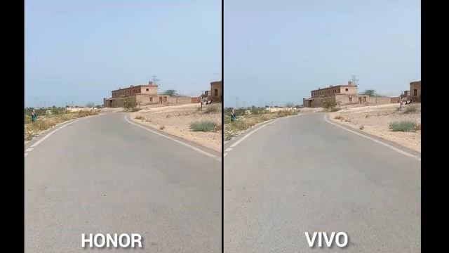 Honor Magic V5 против Vivo X200 Ultra - сравнение камер в реальной жизни