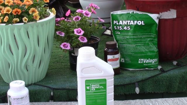 02.07.2025 г. Волгоград. Дожди. Обработка биопрепаратами